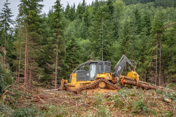 Forestry | Peterson CAT