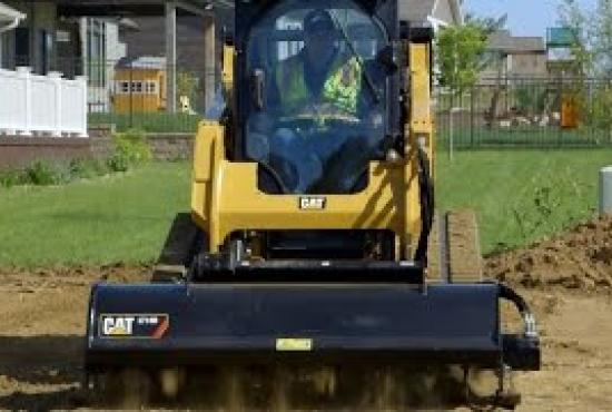 LT118 | Peterson Cat