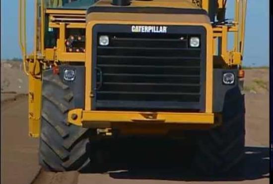 RM300 | Peterson Cat