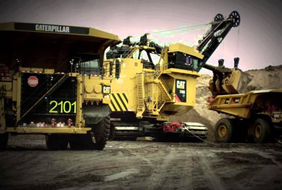 7295 | Peterson CAT
